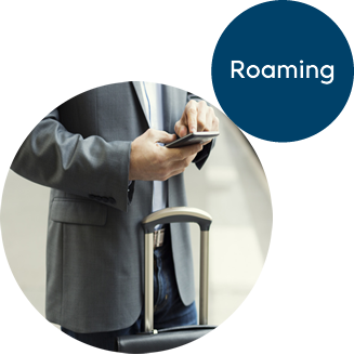 Roaming